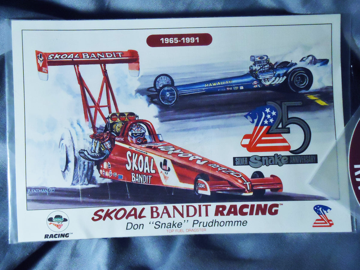 Skoal "Bandit"/Snake Racing Silver Anniversary Collectible Set – enigma
